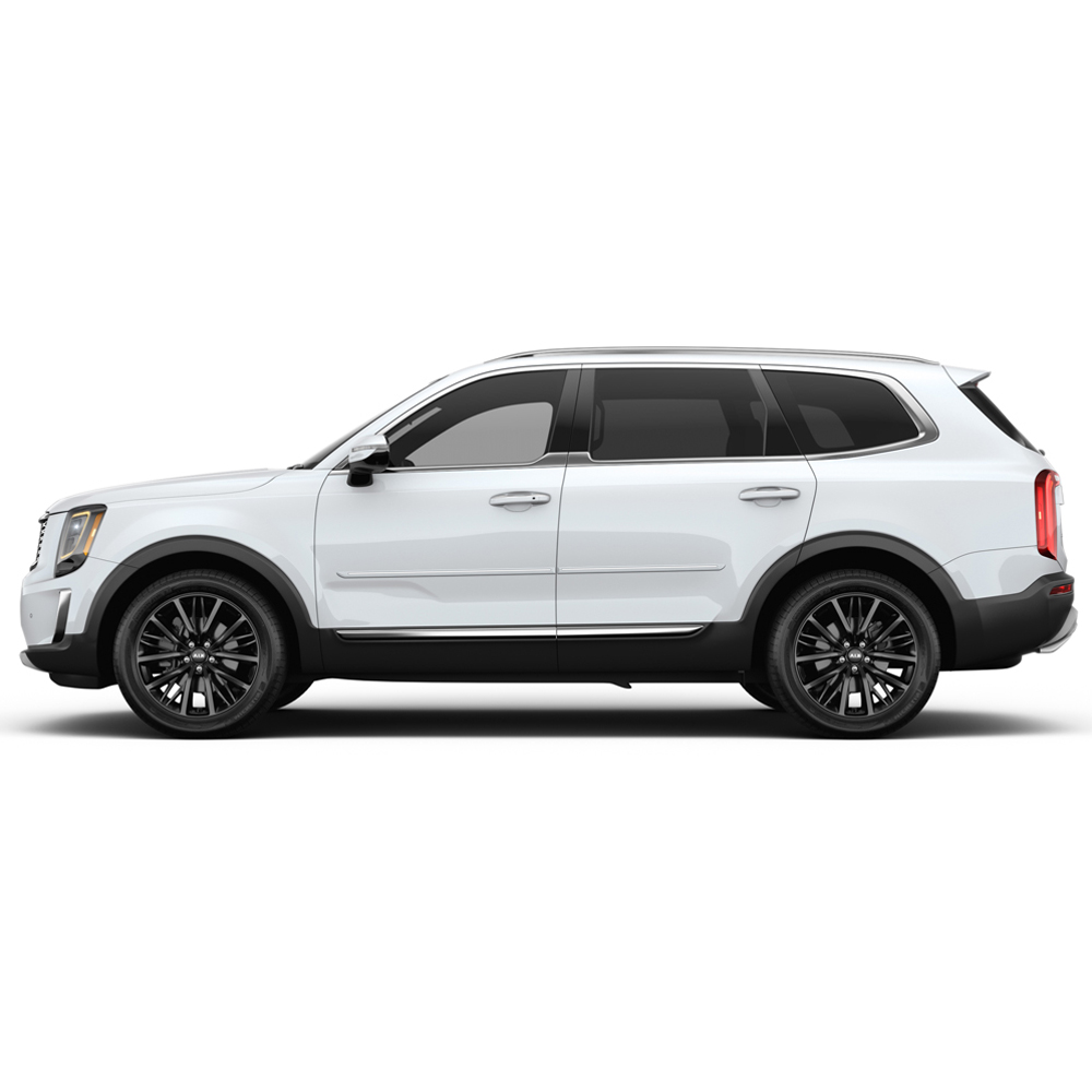 Kia Telluride ChromeLine Painted Body Side Molding 2020 ...