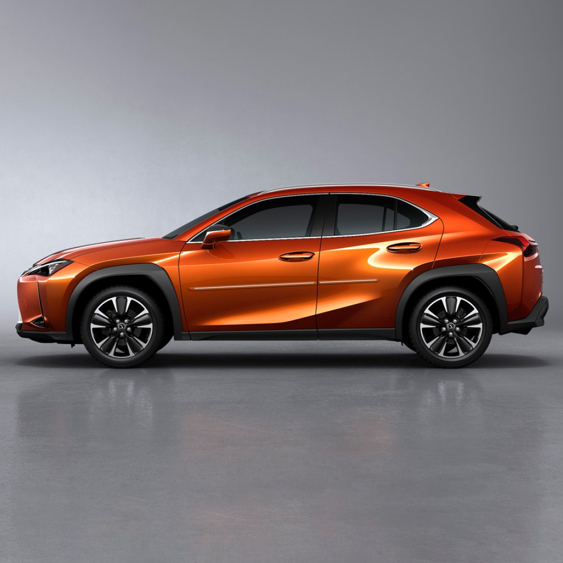 Body Side Moldings : Lexus UX ChromeLine Painted Body Side ...