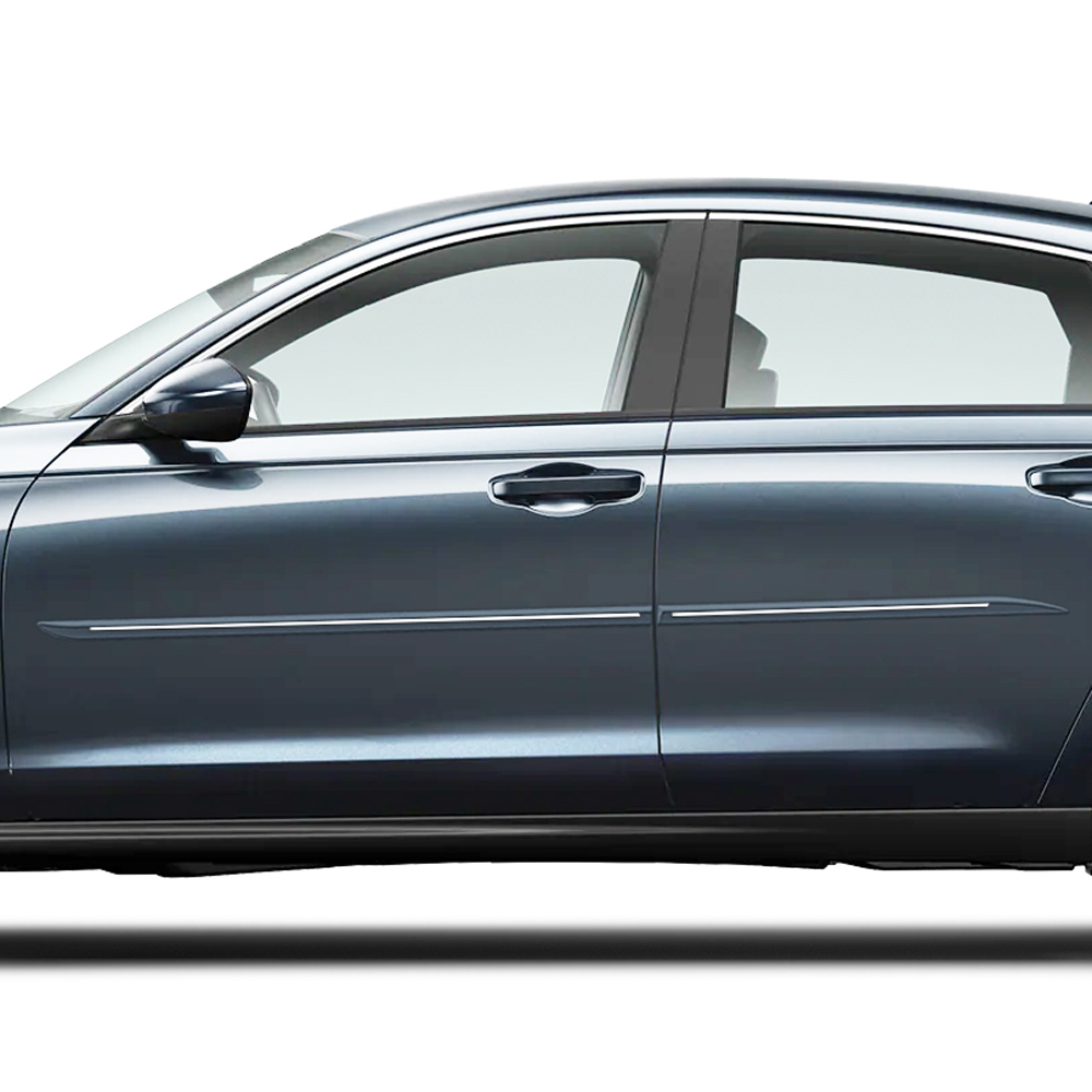 Painted Body Side Moldings with Chrome Inserts : Honda Accord ...