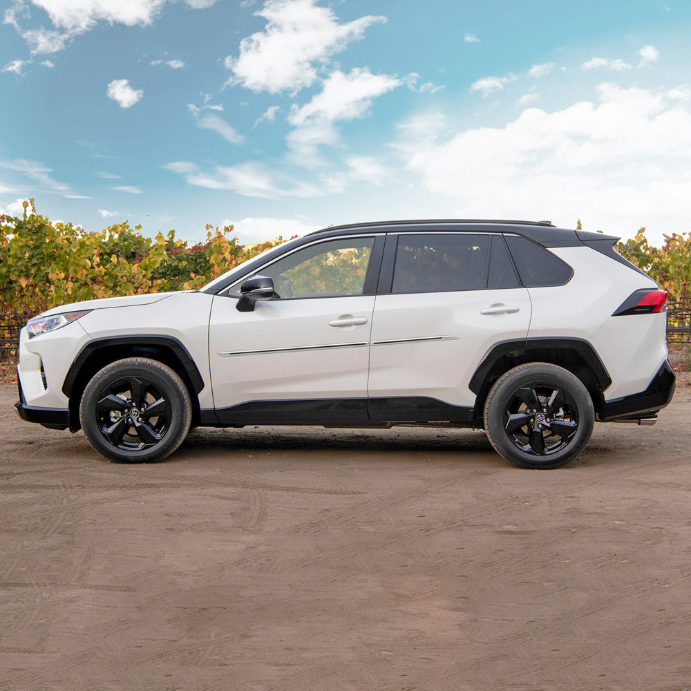 Toyota RAV4 Painted Moldings with a Color Insert 2019