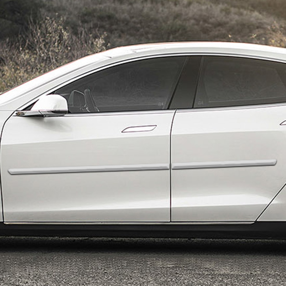 Painted Body Side Molding : Tesla Model S Painted Body Side ...