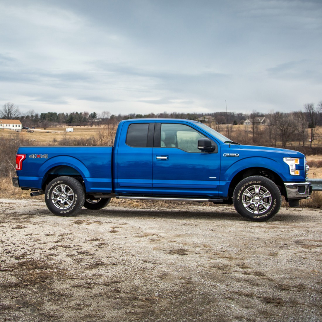 Painted Body Side Molding : Ford F-150 SuperCab Painted ...
