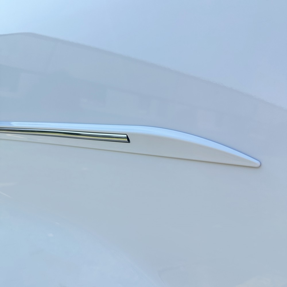 Painted Molding with Chrome Insert : Toyota RAV4 ChromeLine ...