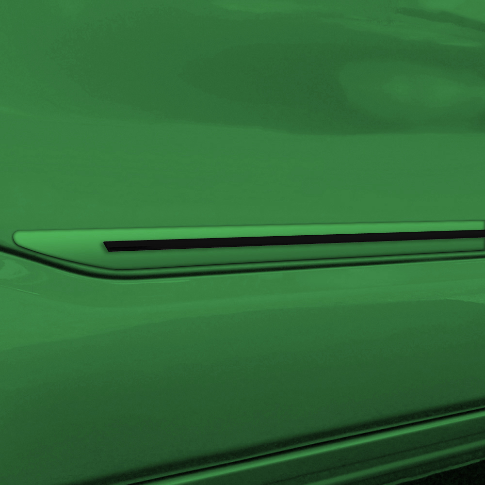 Painted Molding with Color Insert : Ram 1500 Crew Cab Painted ...