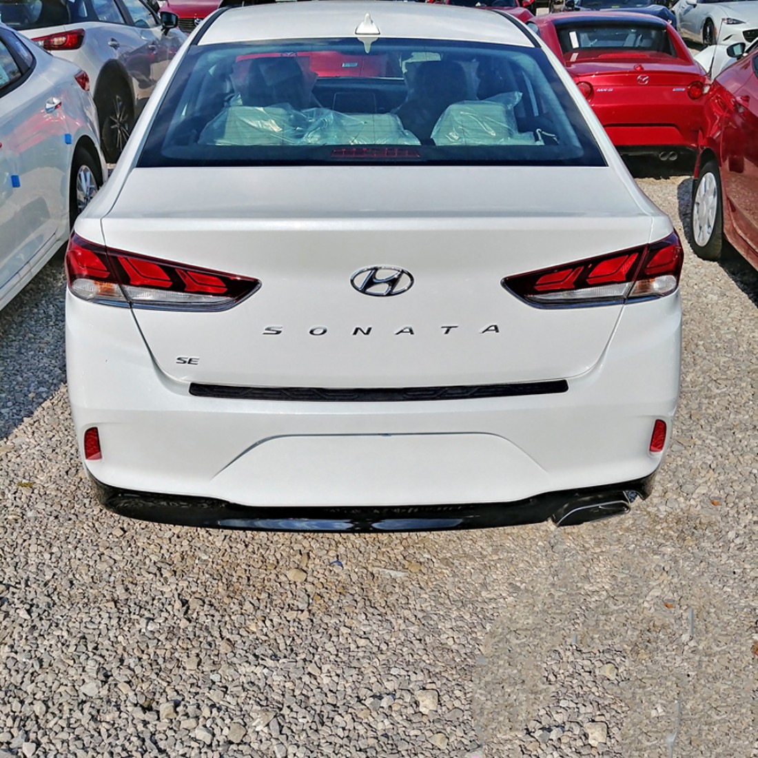 Hyundai Sonata Rear Bumper Protector 2018 - 2019 / RBP-006 ...