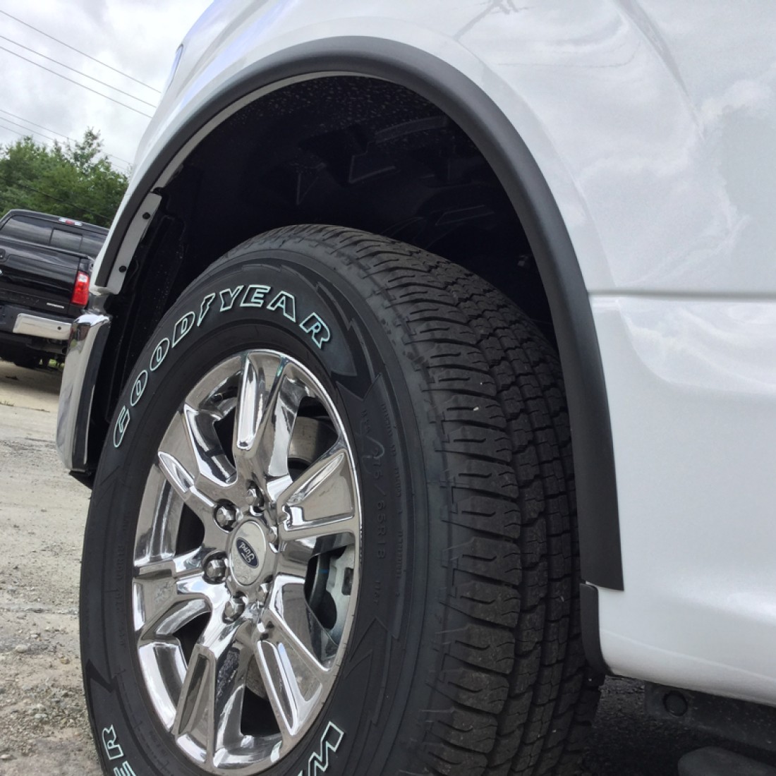 Fender Molding : FenderGard Molding with Lip; 25' Roll