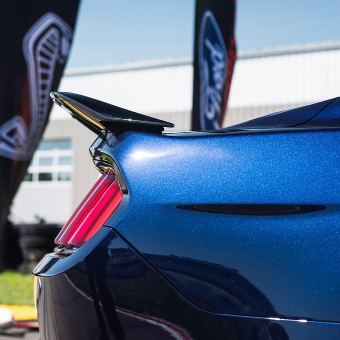 Pedestal Spoilers : Ford Mustang GT350 Style Pedestal Rear ...